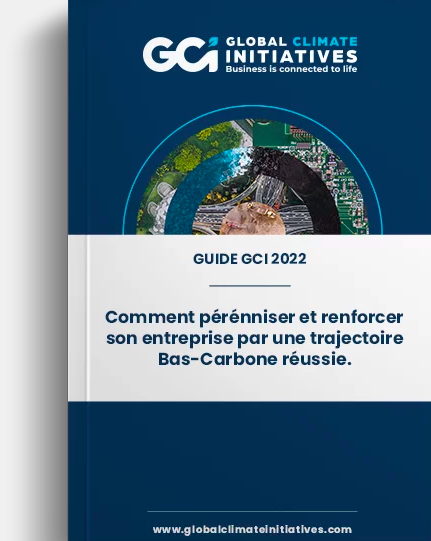 Comment pérenniser et renforcer son entreprise par une trajectoire Bas ...