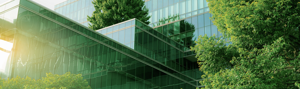 BDESE : piloter la durabilité et la RSE en entreprise